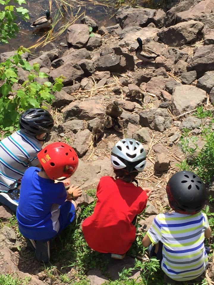 How To Create The Perfect 1st Meeting Between The Children In A Blended ...