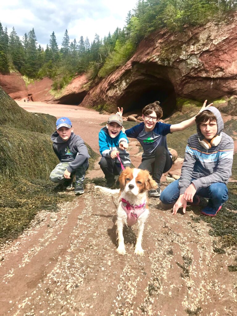 How To Celebrate Siblings With Trendhim 925 William Bracelets! - Ella's ...